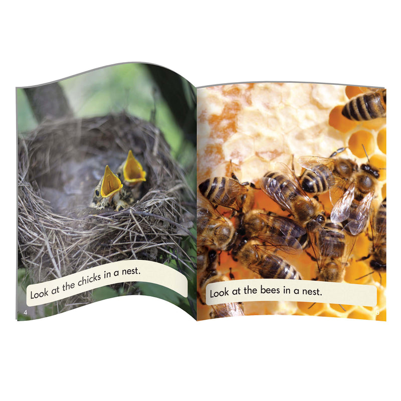 Letters & Sounds Phase 4 Set 2 Non-Fiction – Junior Learning UK